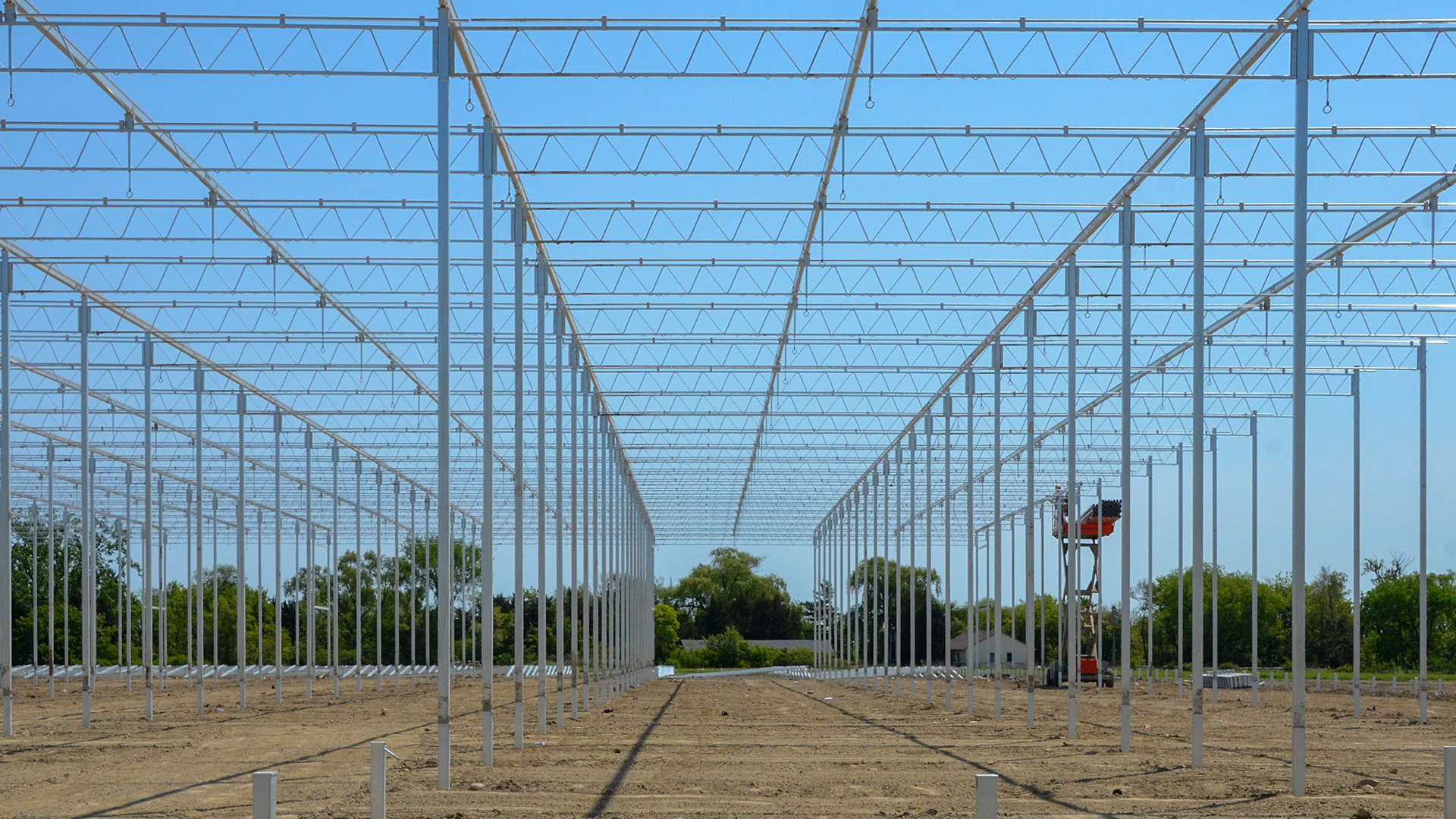 Vegetables & Fruits: Commercial Greenhouses, Design, Construction