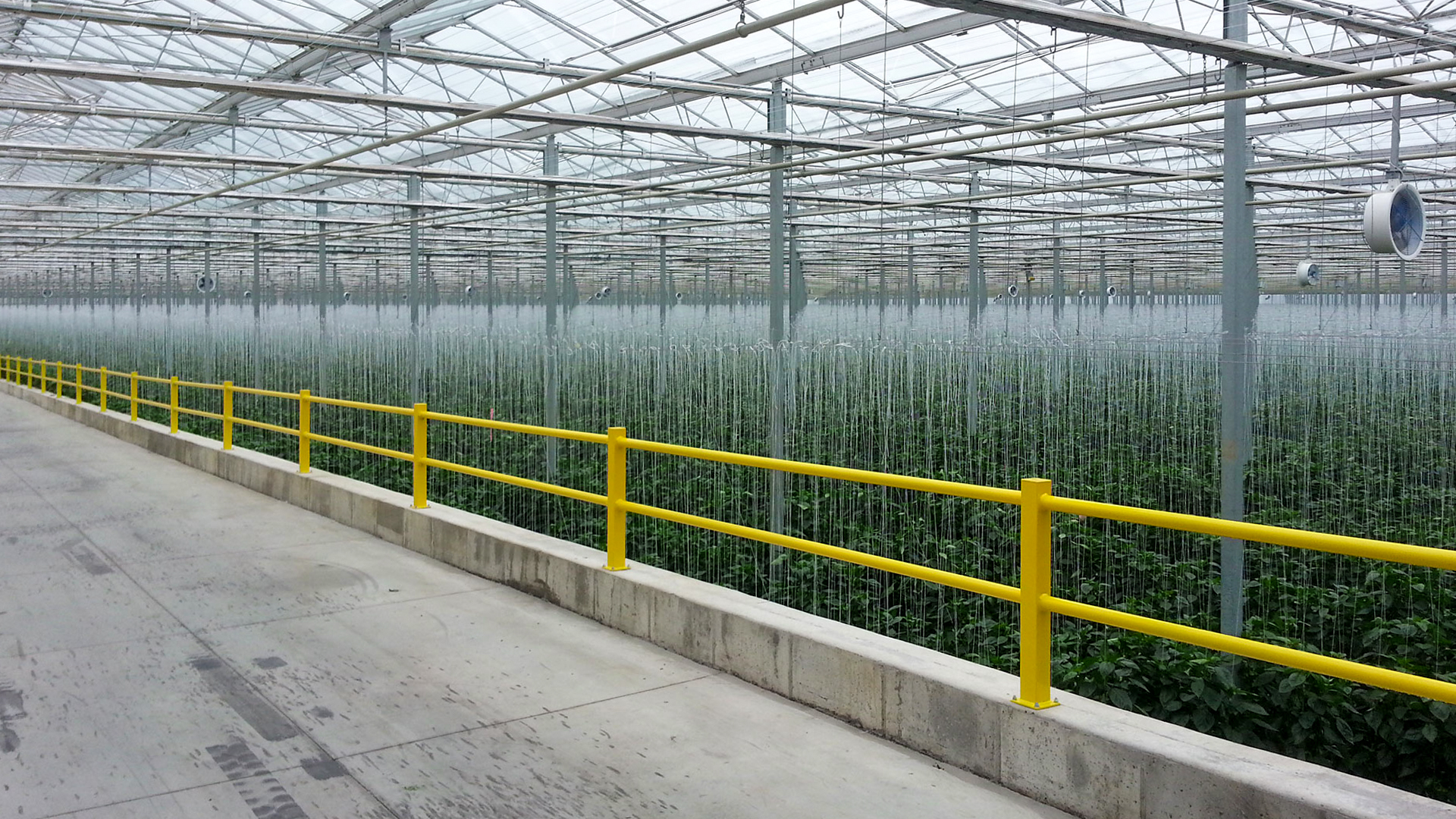 Vegetables & Fruits: Commercial Greenhouses, Design, Construction