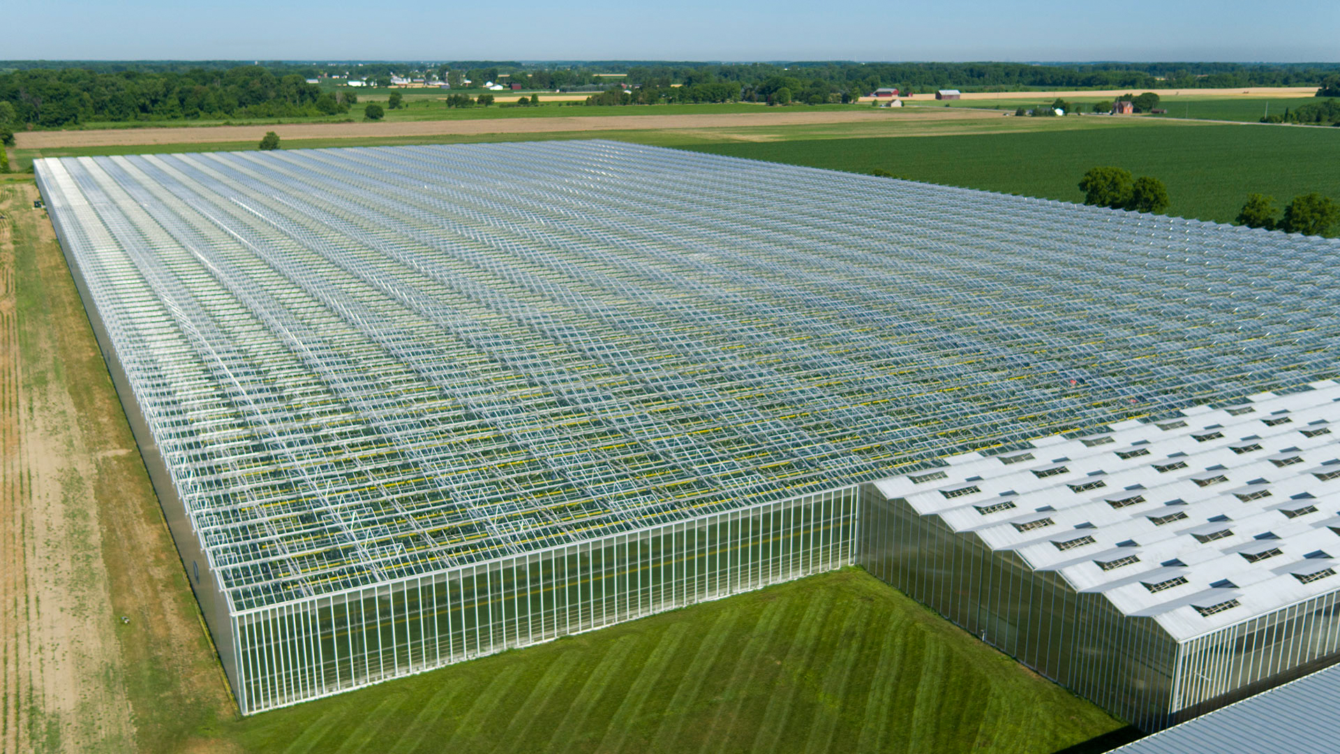 Vegetables & Fruits: Commercial Greenhouses, Design, Construction