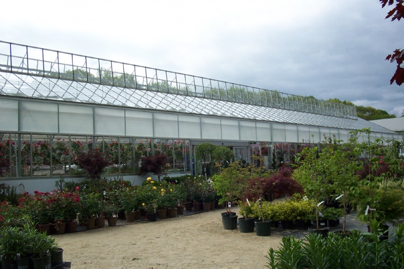 Commercial Greenhouses: The Vail Atrium Greenhouse