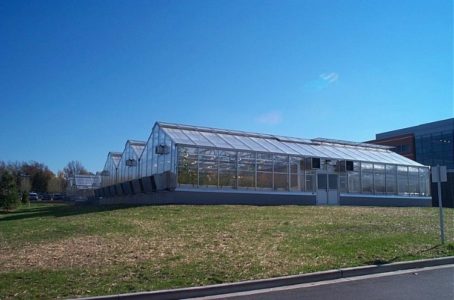Donald Danforth Plant Science Center - Prospiant