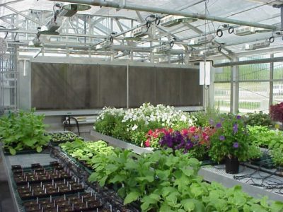 Donald Danforth Plant Science Center - Prospiant