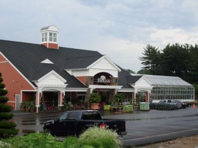 Briggs Nursery - Prospiant