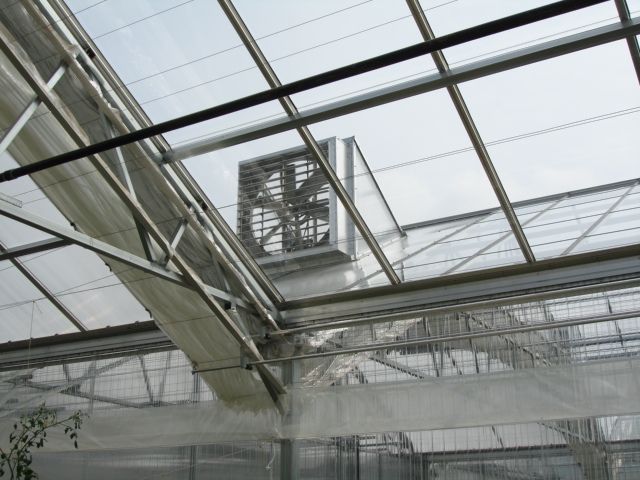 Mechanical Ventilation System for Greenhouses | Prospiant