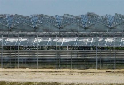 Greenhouse Equipment: Side Vents, Rack & Pinion, Shade Curtains