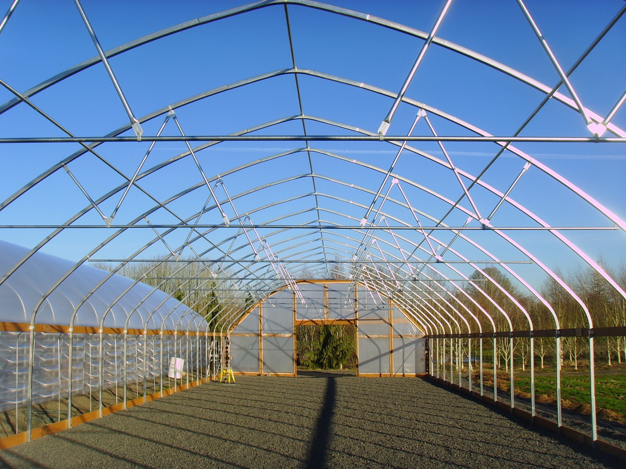 Commercial Greenhouses: Windjammer 5000, Cold Frame Greenhouse