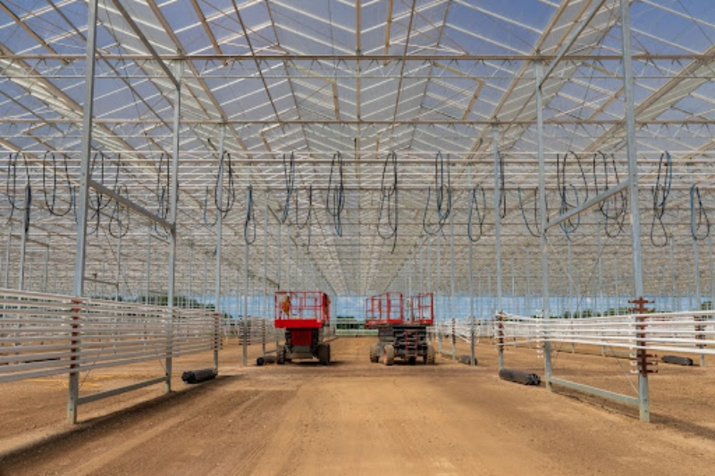 Your Guide to Commercial Greenhouse Design and Construction