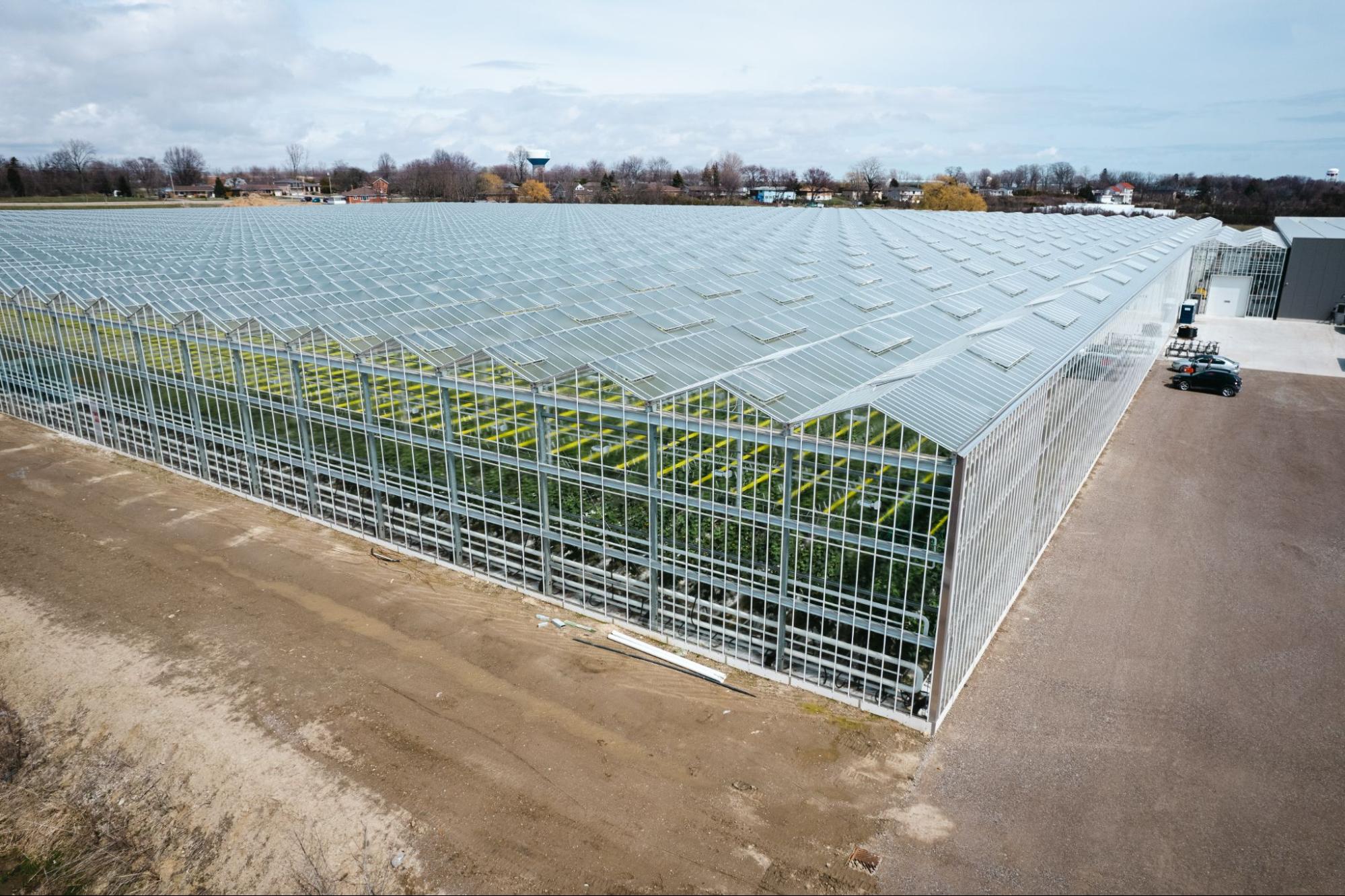 How Much Does It Cost to Build A Commercial Greenhouse? | Prospiant