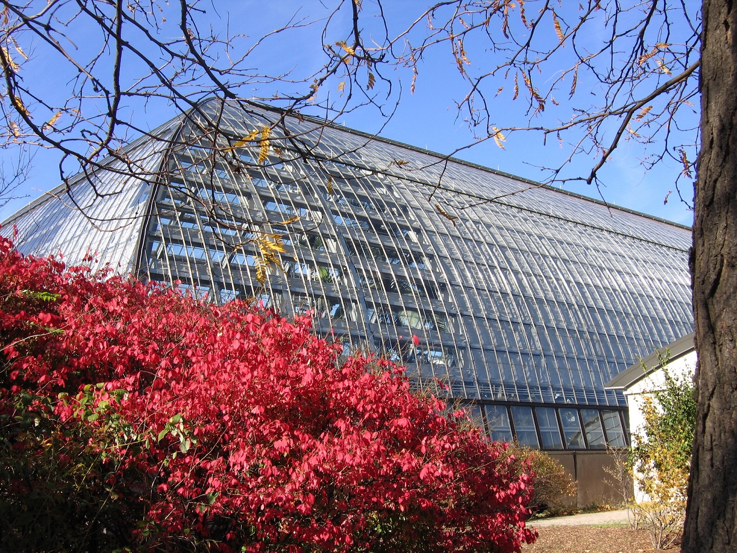 Custom Built Greenhouse with Design Selection | Prospiant