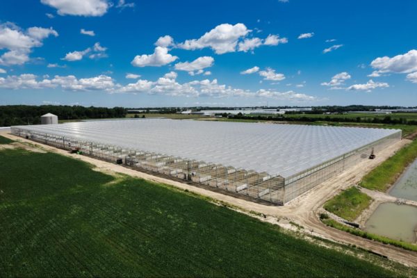 How Much Does It Cost to Build A Commercial Greenhouse? | Prospiant