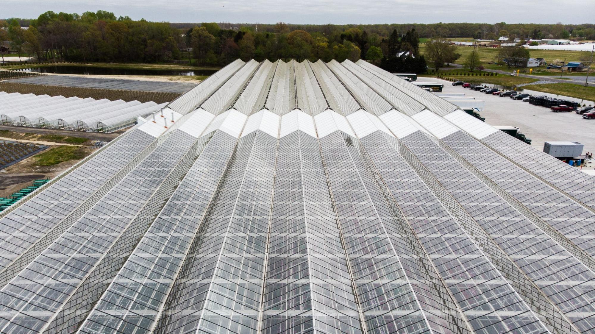 The Future: Commercial Greenhouse Farming | Prospiant