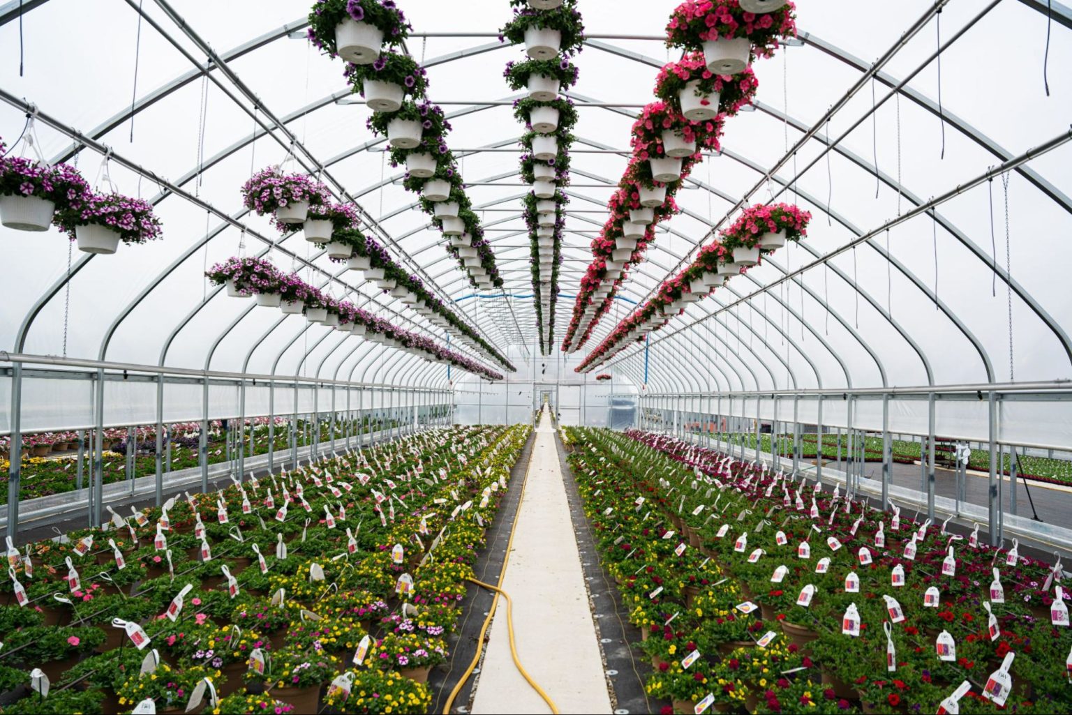 High Tunnel Greenhouses - Prospiant