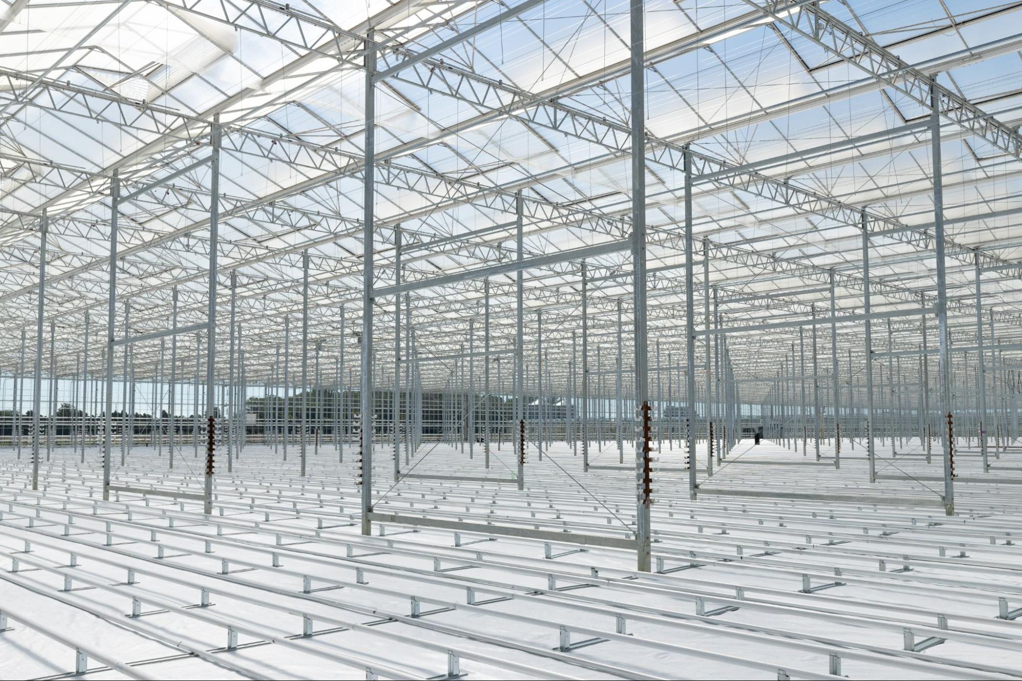 What Plants to Grow in Year-Round Greenhouse | Prospiant