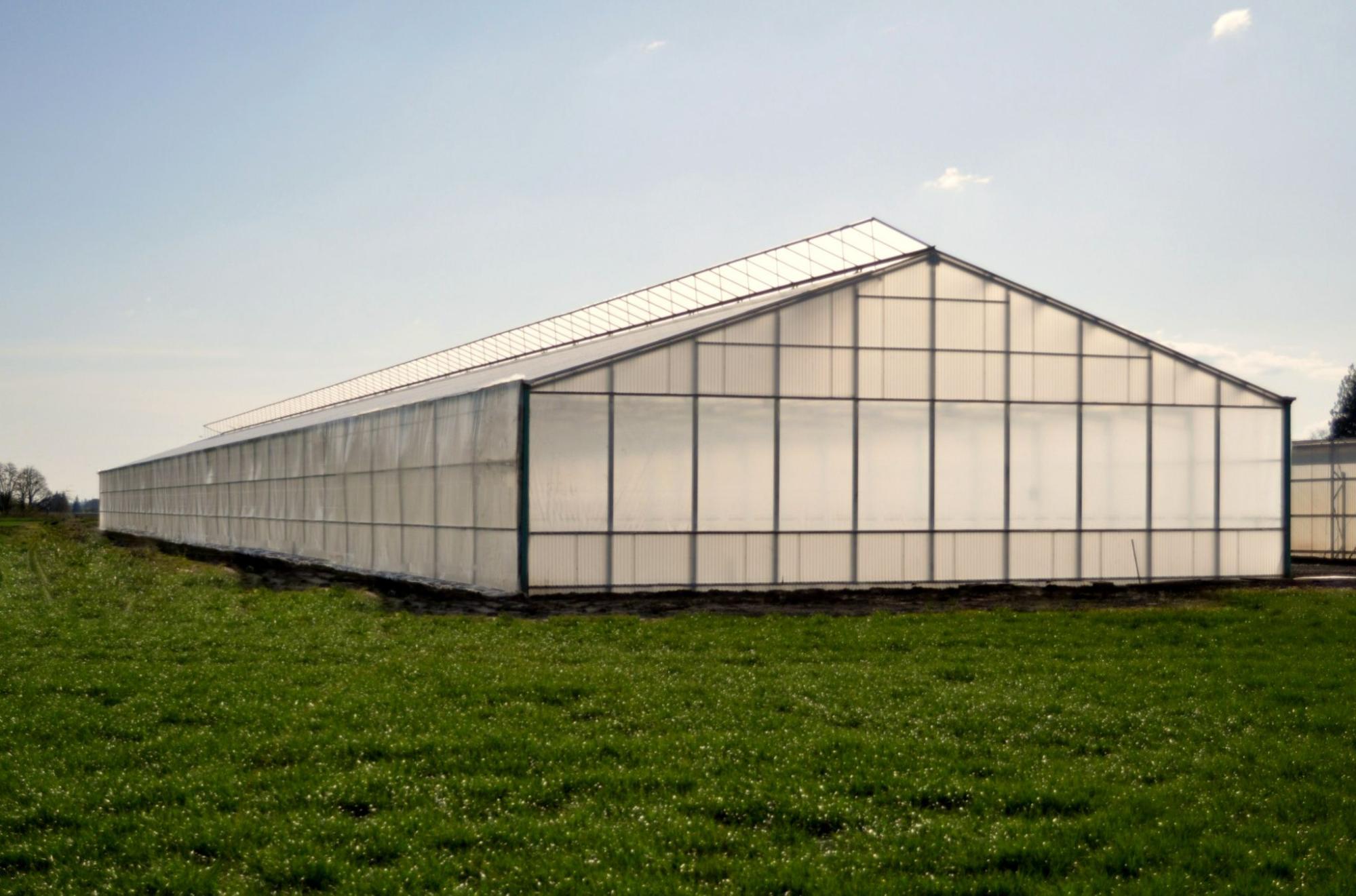 How to Build a Greenhouse for Your Commercial Property or Business ...