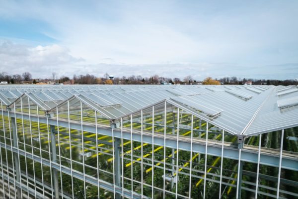 Heavy Duty Greenhouses - Prospiant