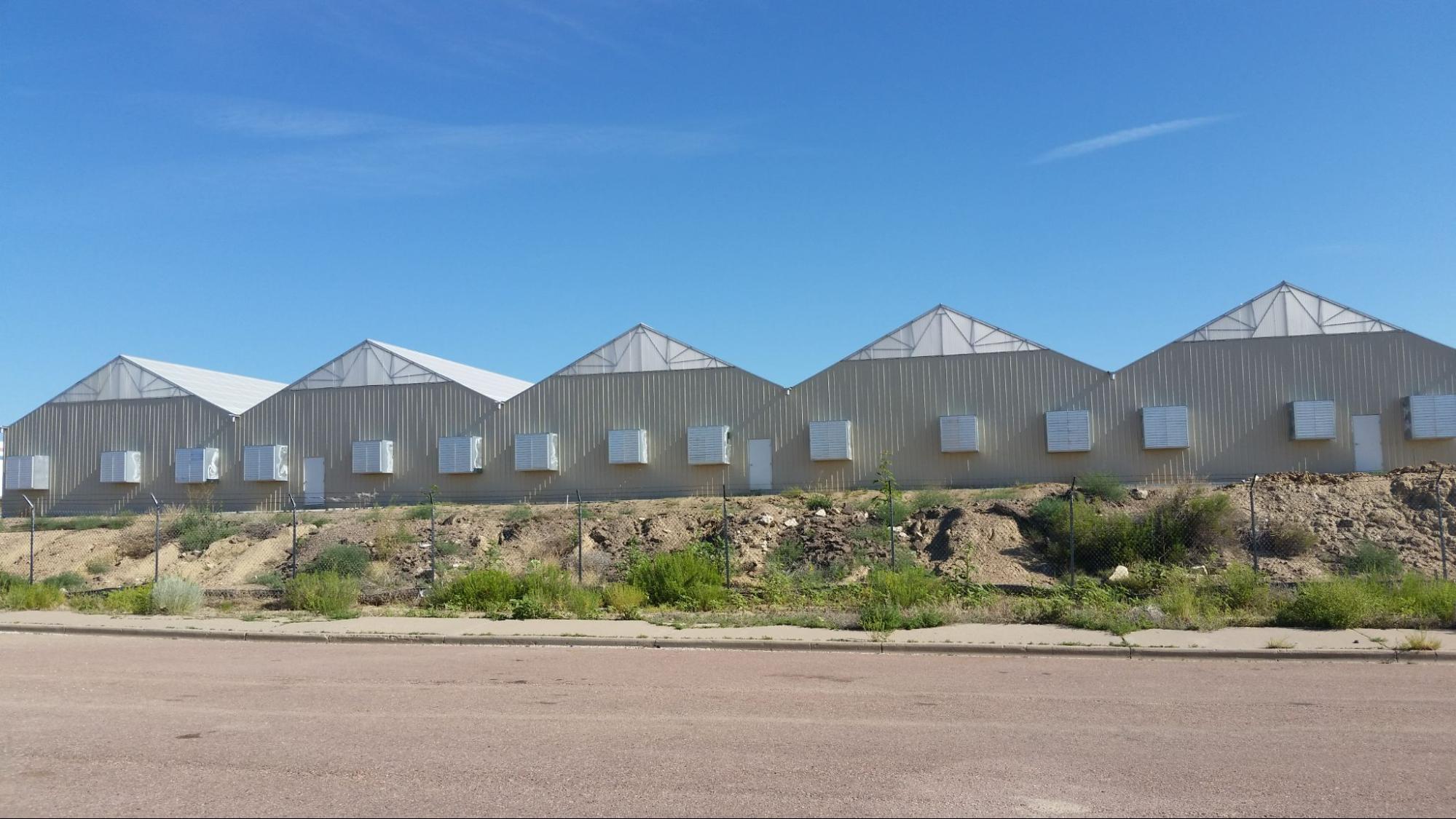 The Guide to Building Greenhouses for Commercial Use