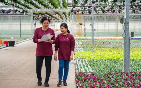 Custom Greenhouse Builders & Design Consultant - Prospiant