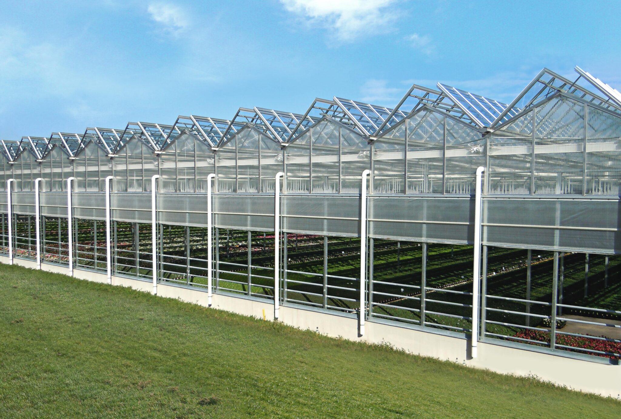 Commercial Greenhouses - The Open Roof Greenhouse