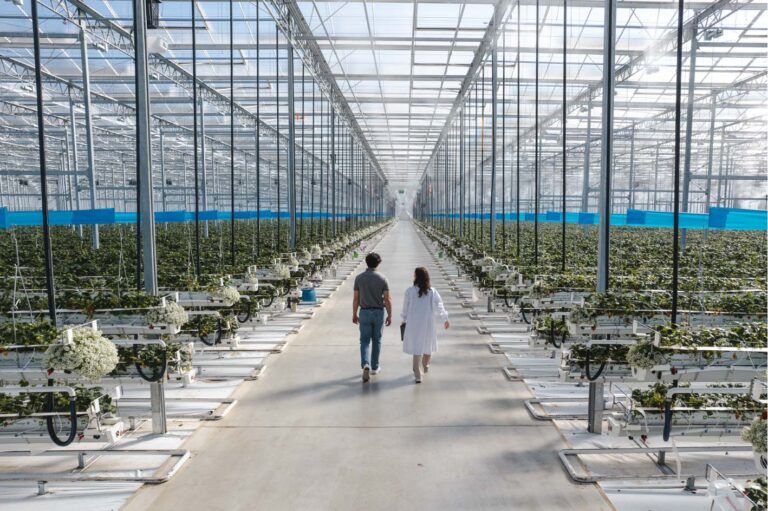 Prospiant: No.1 Trusted Commercial Greenhouse Company