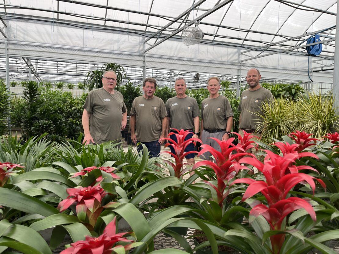 Tropical Foliage Plants - Prospiant