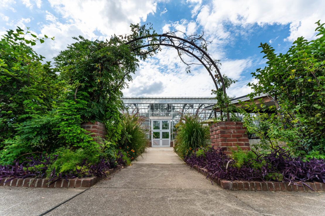 Memphis Botanic Garden - Prospiant
