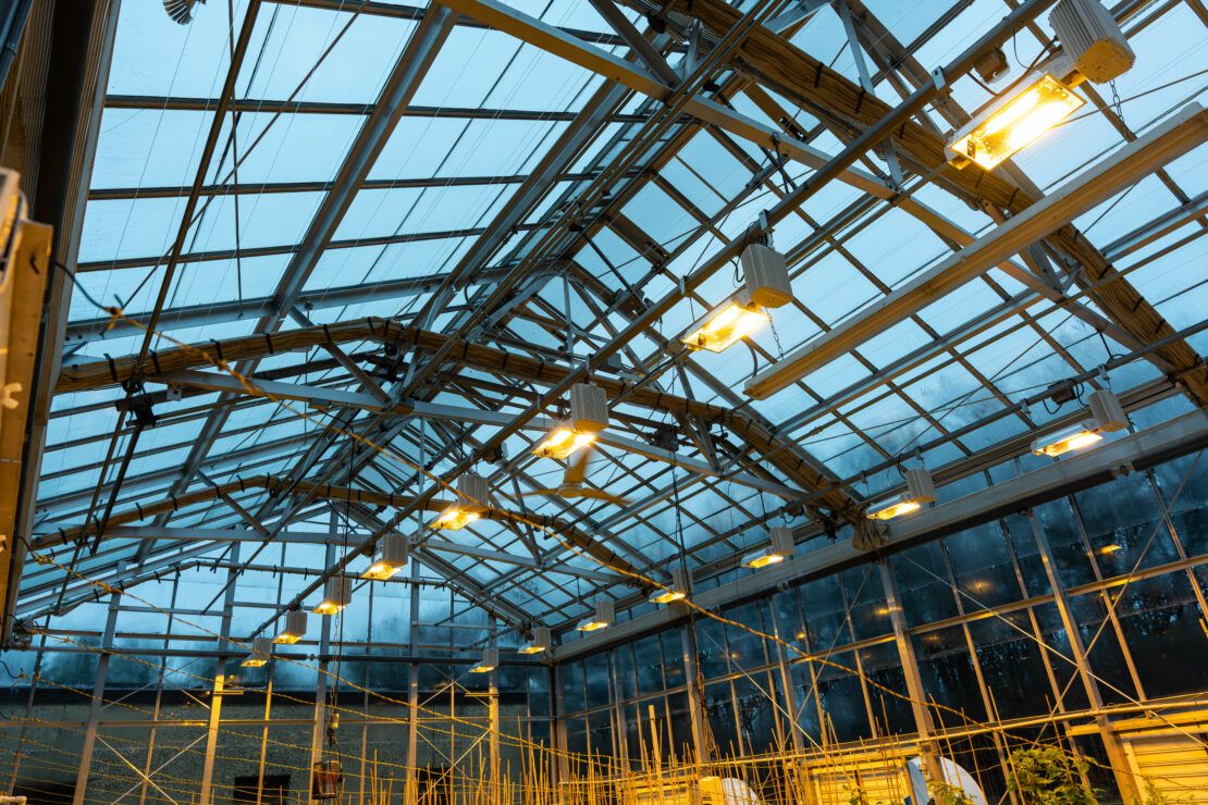 Greenhouse Maintenance: 7 Must-Know Troubleshooting Tips